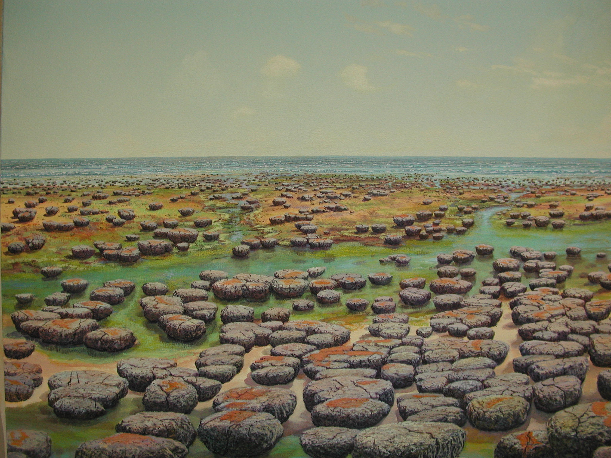 Ancient Colorado: Reconstructing Ancient Colorado Landscapes - Denver ...